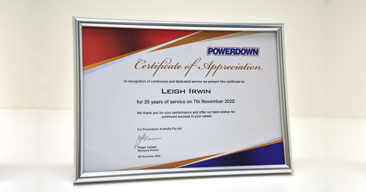 25 year work Anniversary - Powerdown : Powerdown